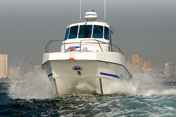 Lee Cat 800 Walkaround – Ski-Boat Magazine