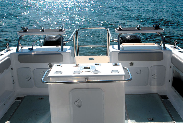 Lee Cat Expressa 900 Walkaround — by Lee Cat – Ski-Boat Magazine